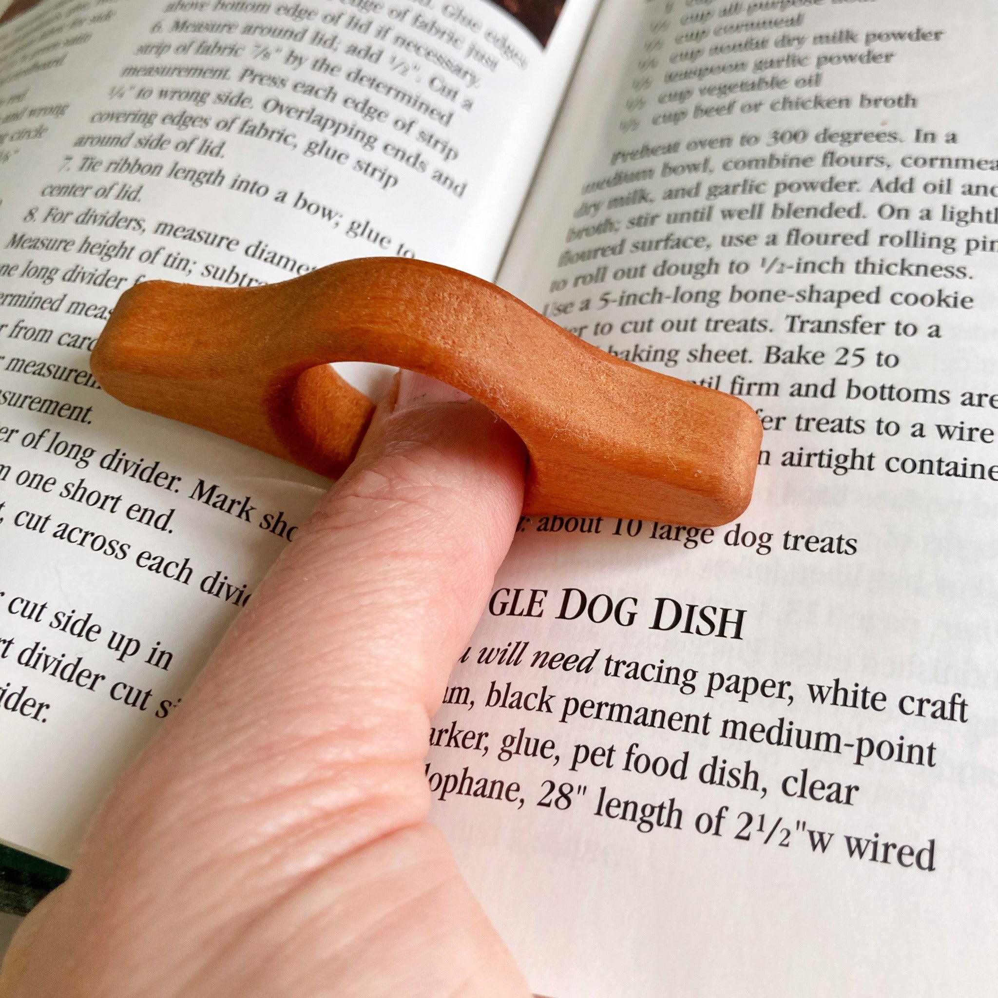 Book Buddy – Home Branded